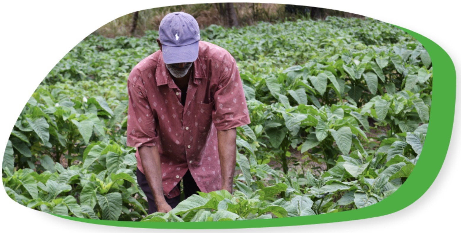Contract Farming & Direct Sales - Local - FarmLinkr